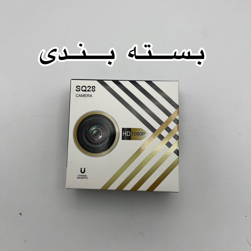 قیمت و خرید دوربین مداربسته تحت شبکه مدل SQ28