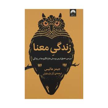 قیمت و خرید کتاب زندگی معنا اثر جیمز هالیس نشر میلکان