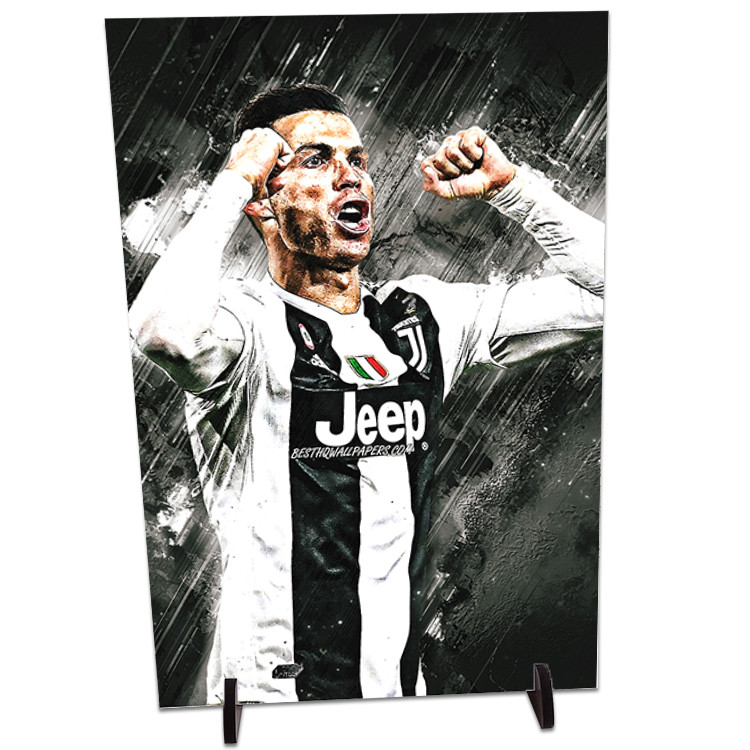 قیمت و خرید تابلو شاسی مدل رونالدو کد 472