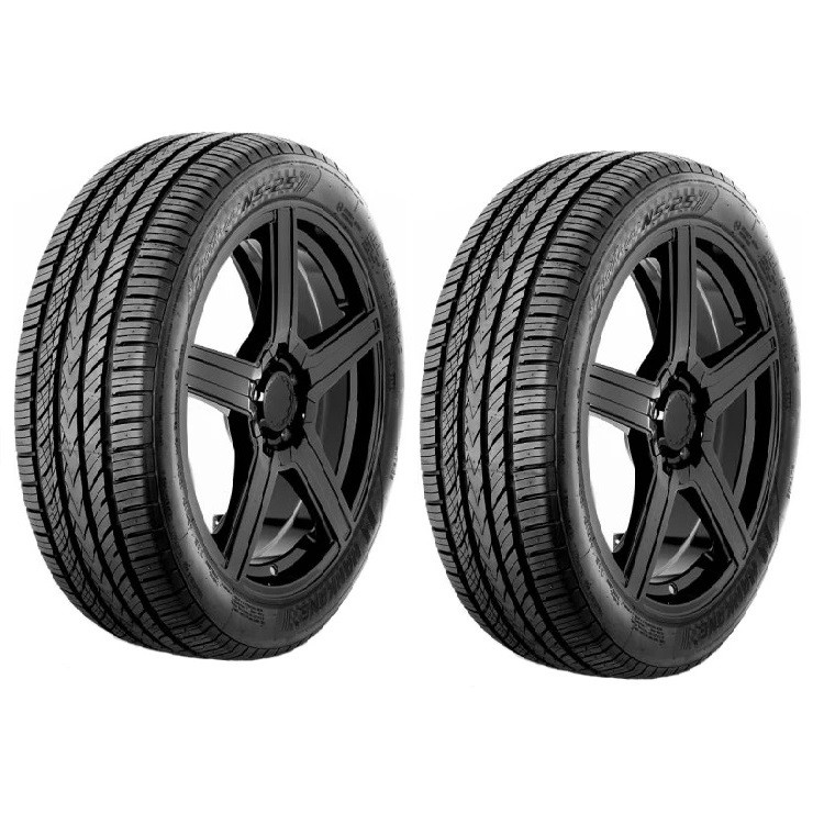 قیمت و خرید لاستیک خودرو نانکنگ مدل NS25 سایز 245/45R17 - دو حلقه