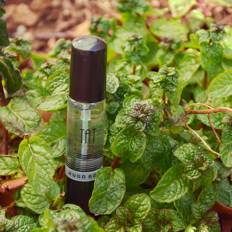 قیمت و خرید عطر جیبی تات مدل CH حجم 25 میلی لیتر