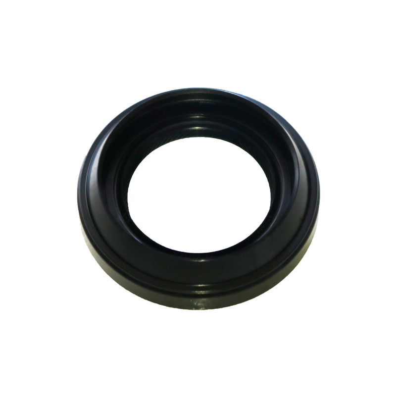 قیمت و خرید کاسه نمد پلوس ویژن کد 405 مناسب برای پراید