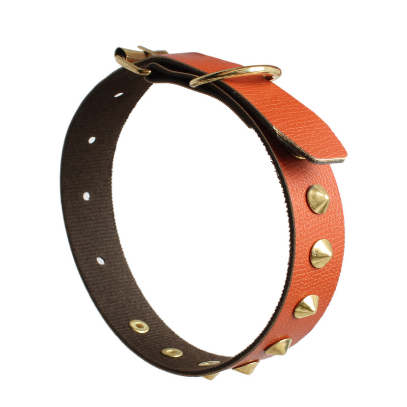 قیمت و خرید قلاده سگ لویال داگز کد ghmkh211