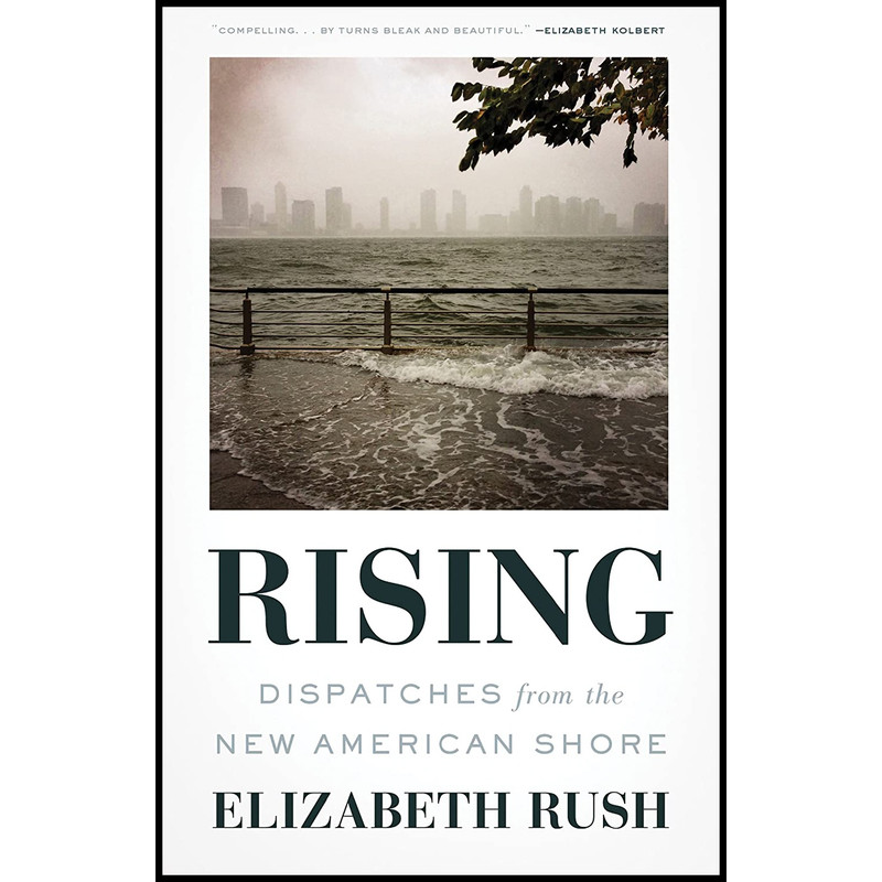 قیمت و خرید کتاب Rising اثر Elizabeth Rush انتشارات Milkweed Editions