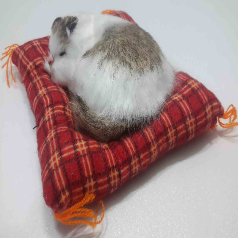 قیمت و خرید عروسک مدل گربه ملوس طرح خوابیده رو بالش طول 16 سانتی متر