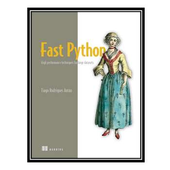 قیمت و خرید کتاب Fast Python: High performance techniques for large ...