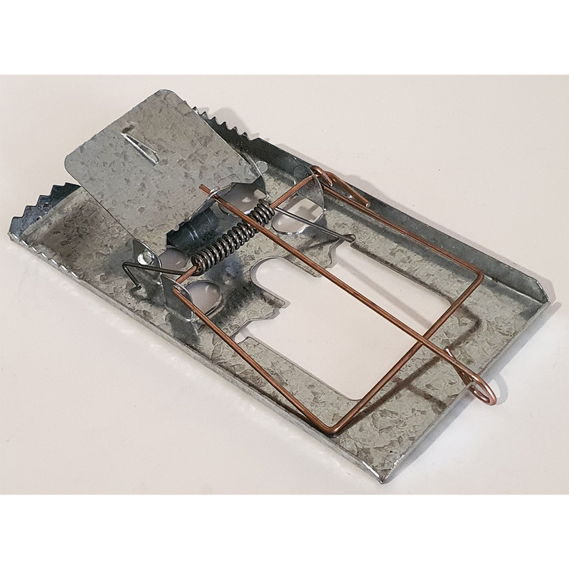 قیمت و خرید تله موش مدل NO.1 بسته 2 عددی