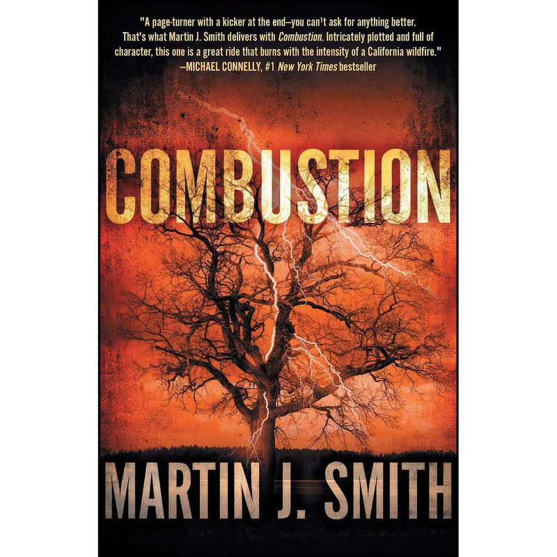 قیمت و خرید کتاب Combustion اثر Martin J. Smith انتشارات Diversion Books