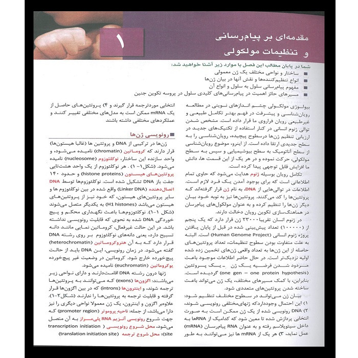 قیمت و خرید کتاب جنین شناسی پزشکی لانگمن 2019 اثر توماس سادلر انتشارات
