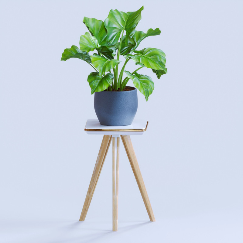 قیمت و خرید استند گلدان مدل PHD STAND-S40