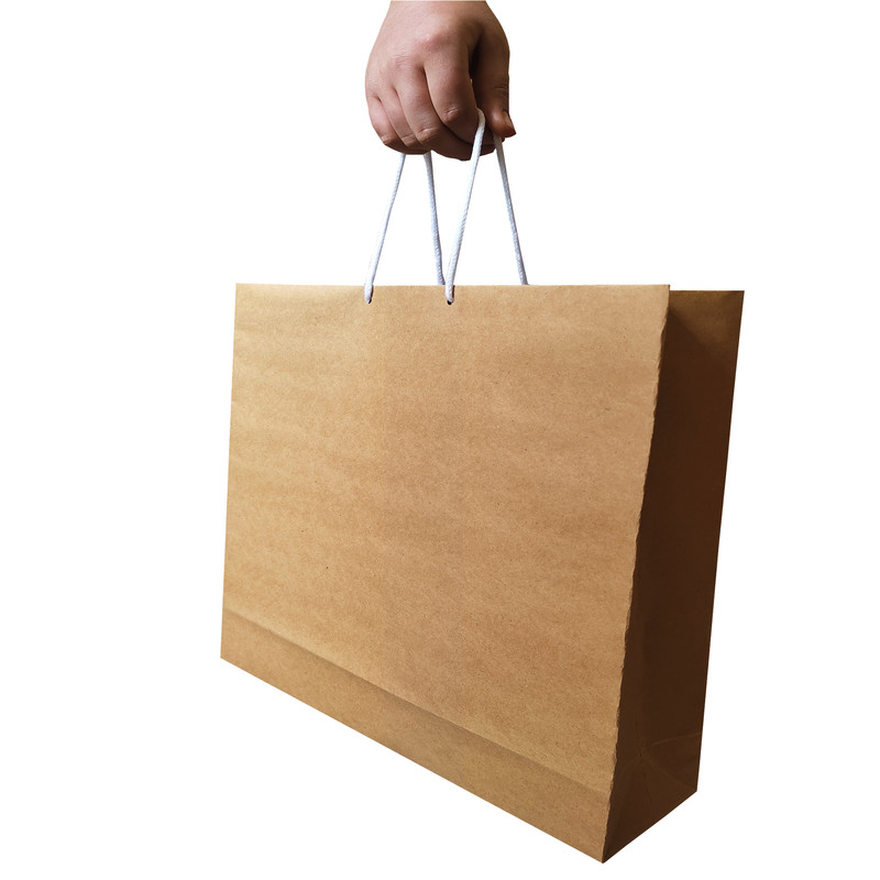 قیمت و خرید پاکت هدیه مدل کرافت ساده p1 بسته 10 عددی