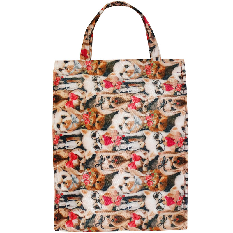 قیمت و خرید ساک عایق دار مدل سرد و گرم کد CT561