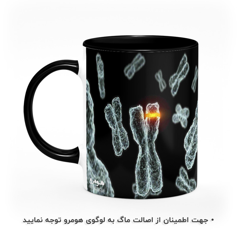 مشخصات، قیمت و خرید ماگ هومرو طرح دامپزشکی مدل MG9538 | دیجی‌کالا