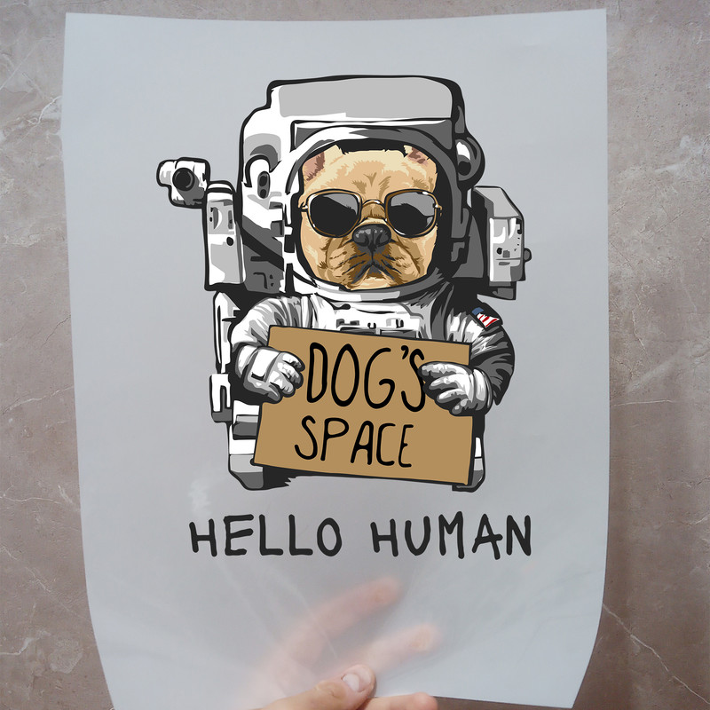 قیمت و خرید استیکر پارچه و لباس مدل dtf طرح تدی کد H30.129 مجموعه 12 عددی