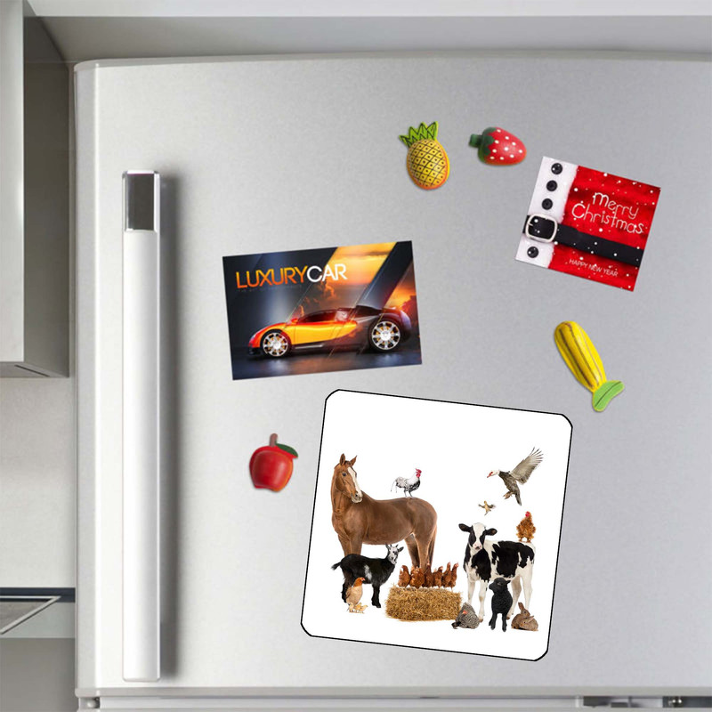 قیمت و خرید مگنت طرح حیوانات کد w12