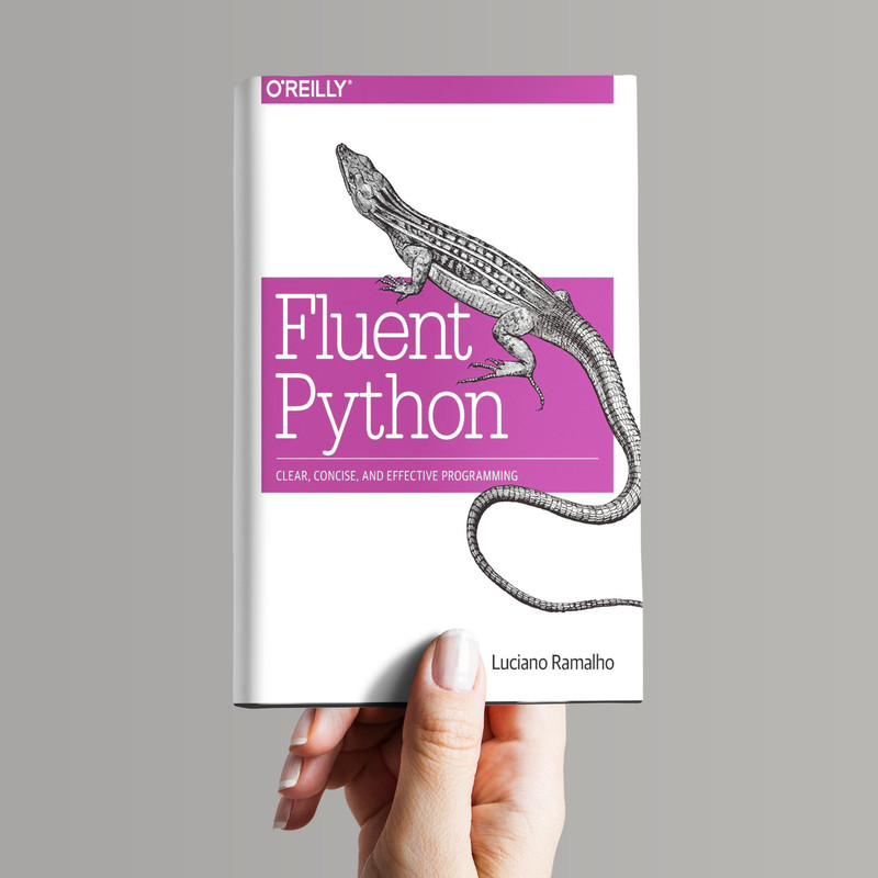قیمت و خرید کتاب Fluent Python Clear Concise And Effective