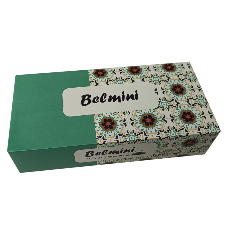 قیمت و خرید دستمال کاغذی بلمینی مدل خانواده کد B101 مجموعه 7 عددی