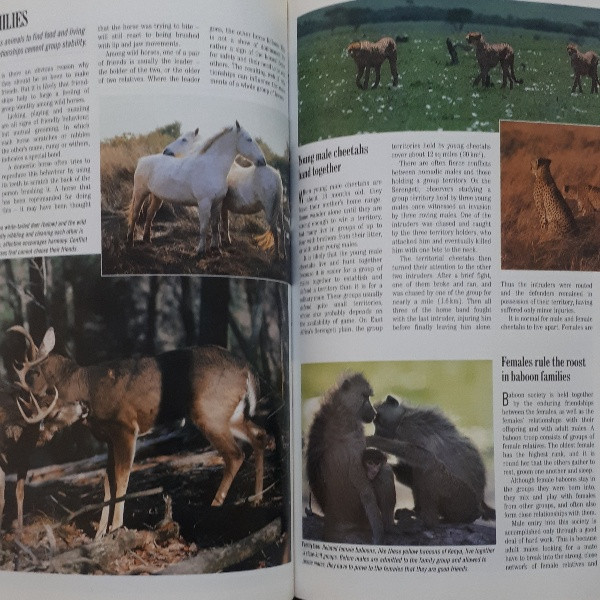 قیمت و خرید كتاب Exploring the Secrets of Nature اثر جمعي از نويسندگان ...
