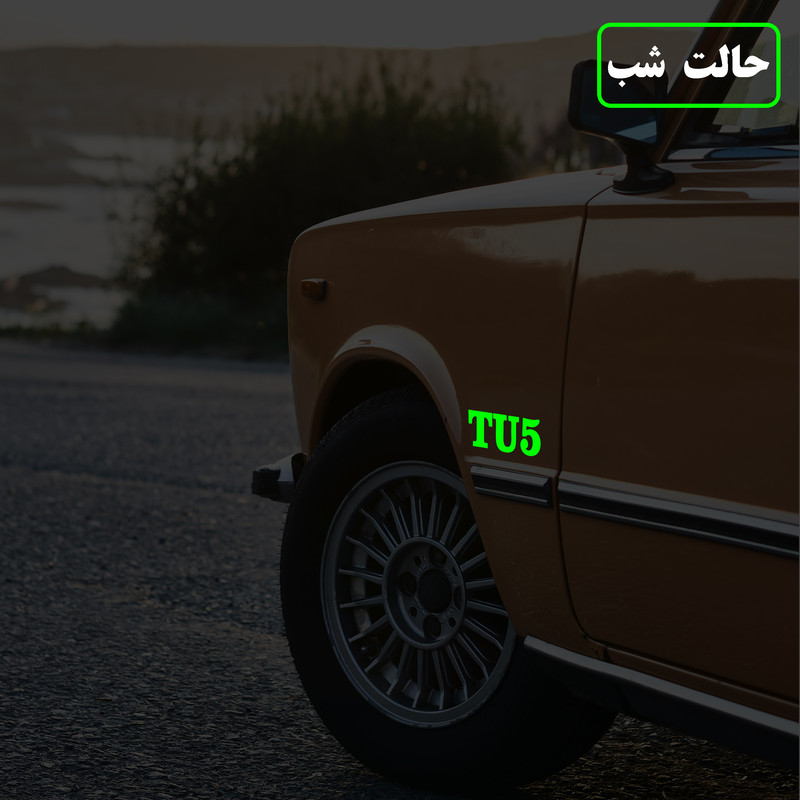 قیمت و خرید برچسب بدنه خودرو مدل شب تاب طرح tu5کدCK