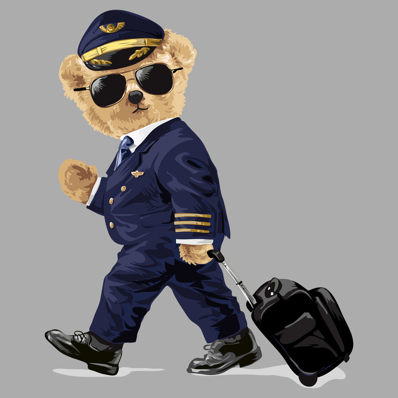 قیمت و خرید استیکر پارچه و لباس مدل dtf طرح تدی کد H15.176 مجموعه 12 عددی