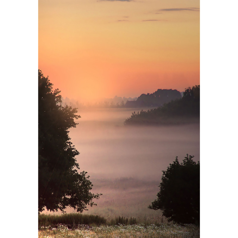 قیمت و خرید تابلو شاسی مدل غروب آفتاب و درخت T7047