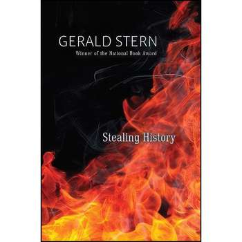 قیمت و خرید کتاب Stealing History اثر Gerald Stern انتشارات Trinity ...