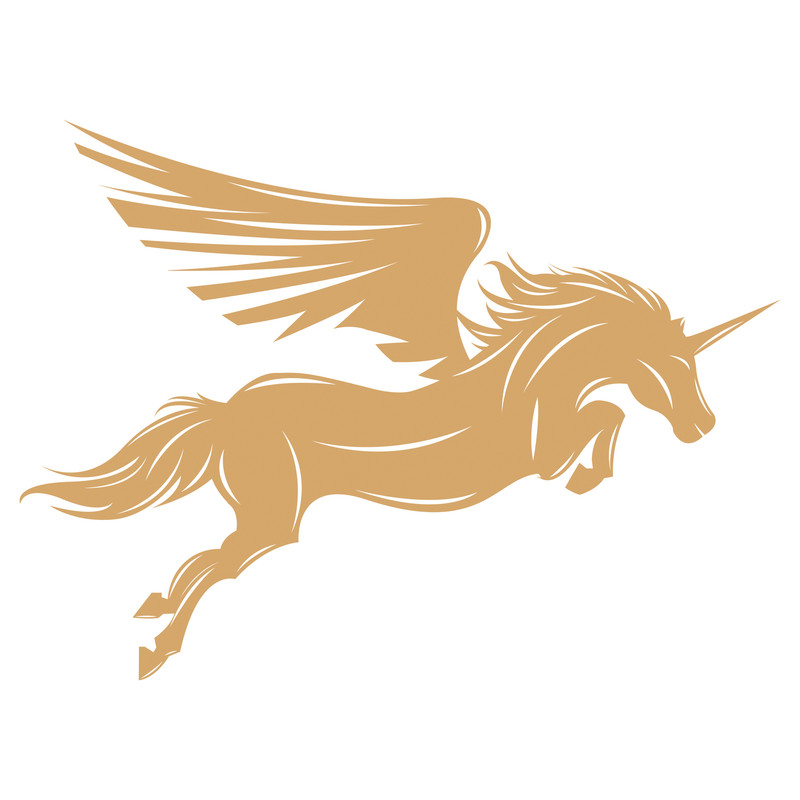 قیمت و خرید استیکر پارچه و لباس مدل dtf طرح یونیکورن کد H15.322 مجموعه 12 عددی