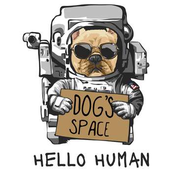 قیمت و خرید استیکر پارچه و لباس مدل dtf طرح تدی کد H15.129 مجموعه 24 عددی