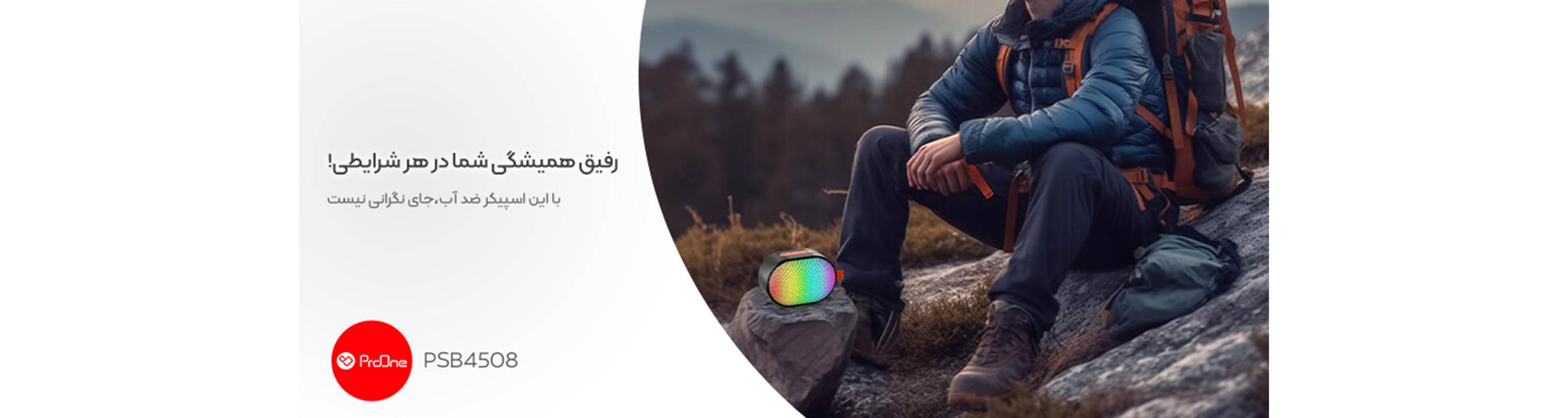اسپیکر بلوتوثی قابل حمل پرووان مدل PSB4508 - فروشگاه اینترنتی ایجانبی